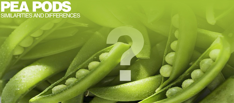 E is for Explore!: Pea Pods - Similarities and Differences