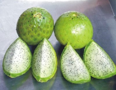 PERU NUTRACEUTICO: SANKY