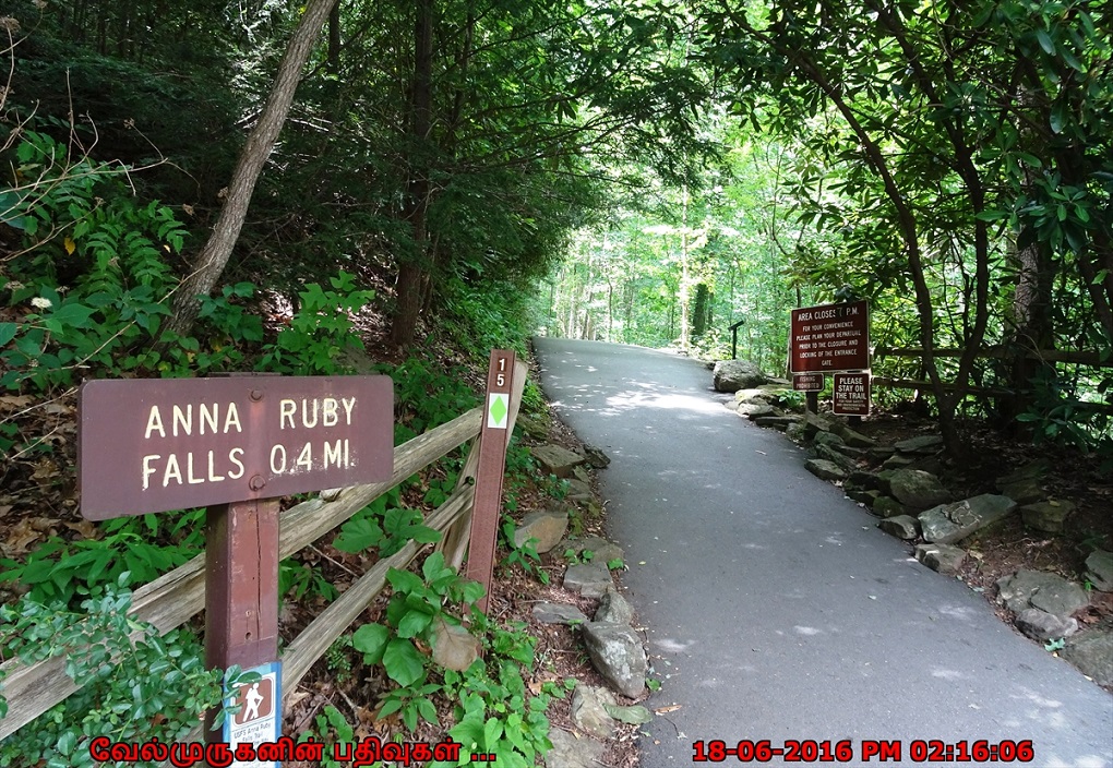 Anna Ruby Falls Trail - Exploring My Life