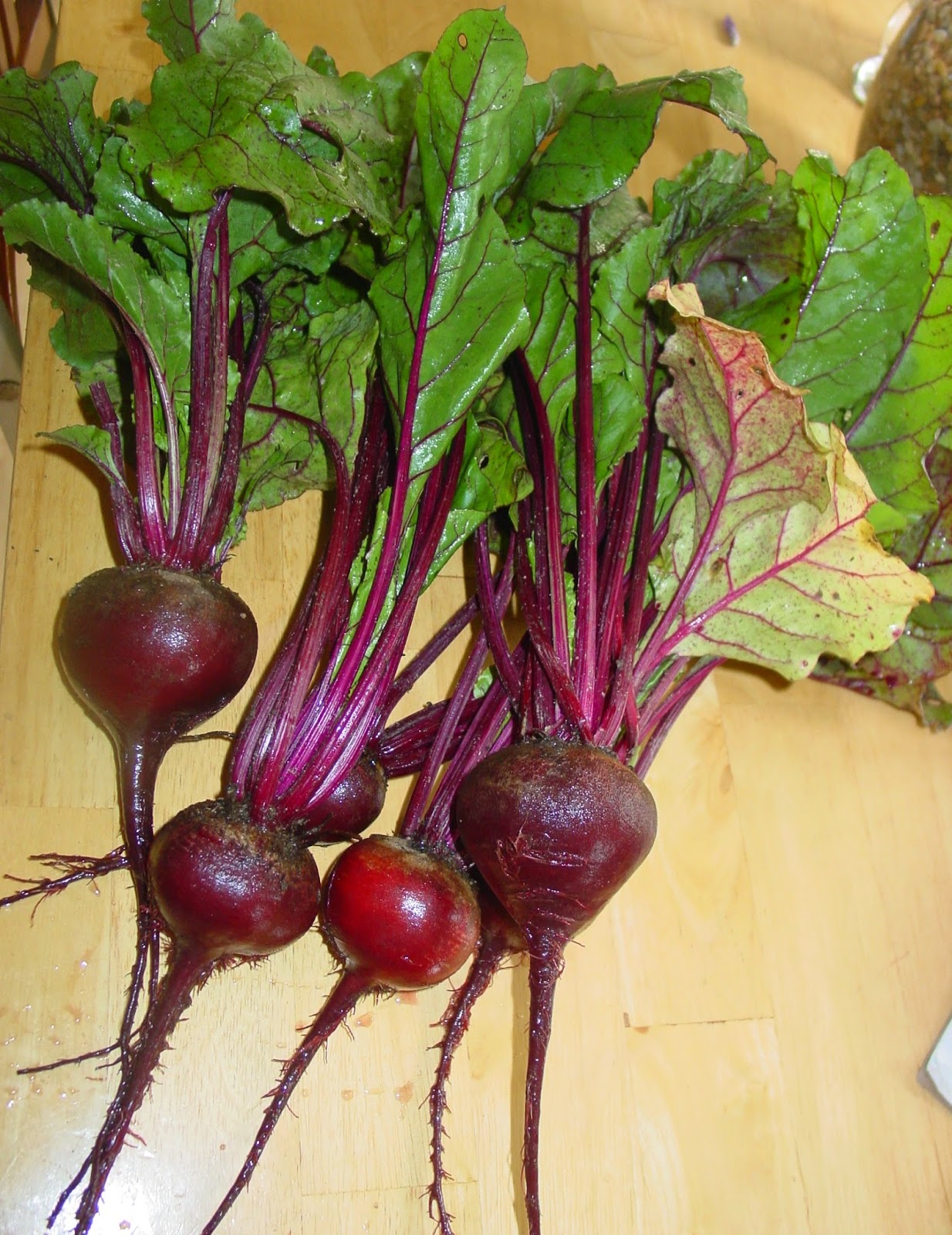 Cathy and Dave's Blog