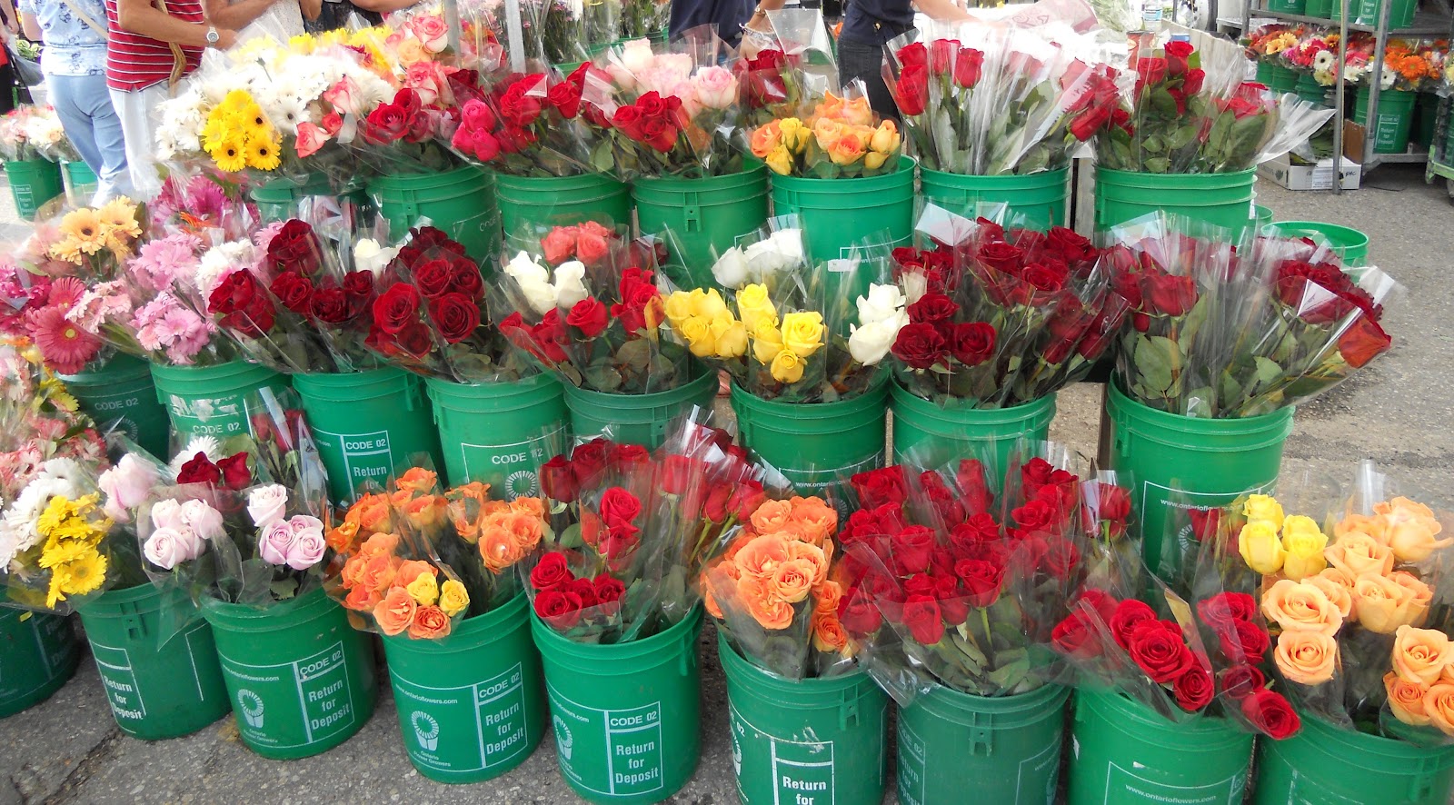 Farmer's Market Day at St Jacobs - Chic Delights