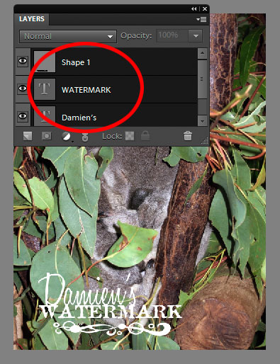 The Info Palette: Creating, saving and using a watermark (PS & PSE)
