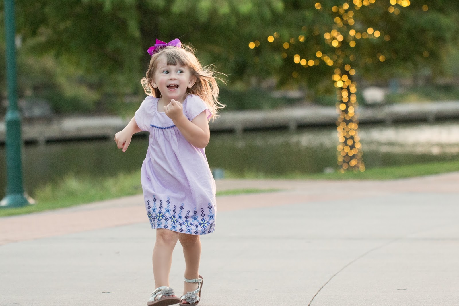 The Adventures of Cohen & Eleanor