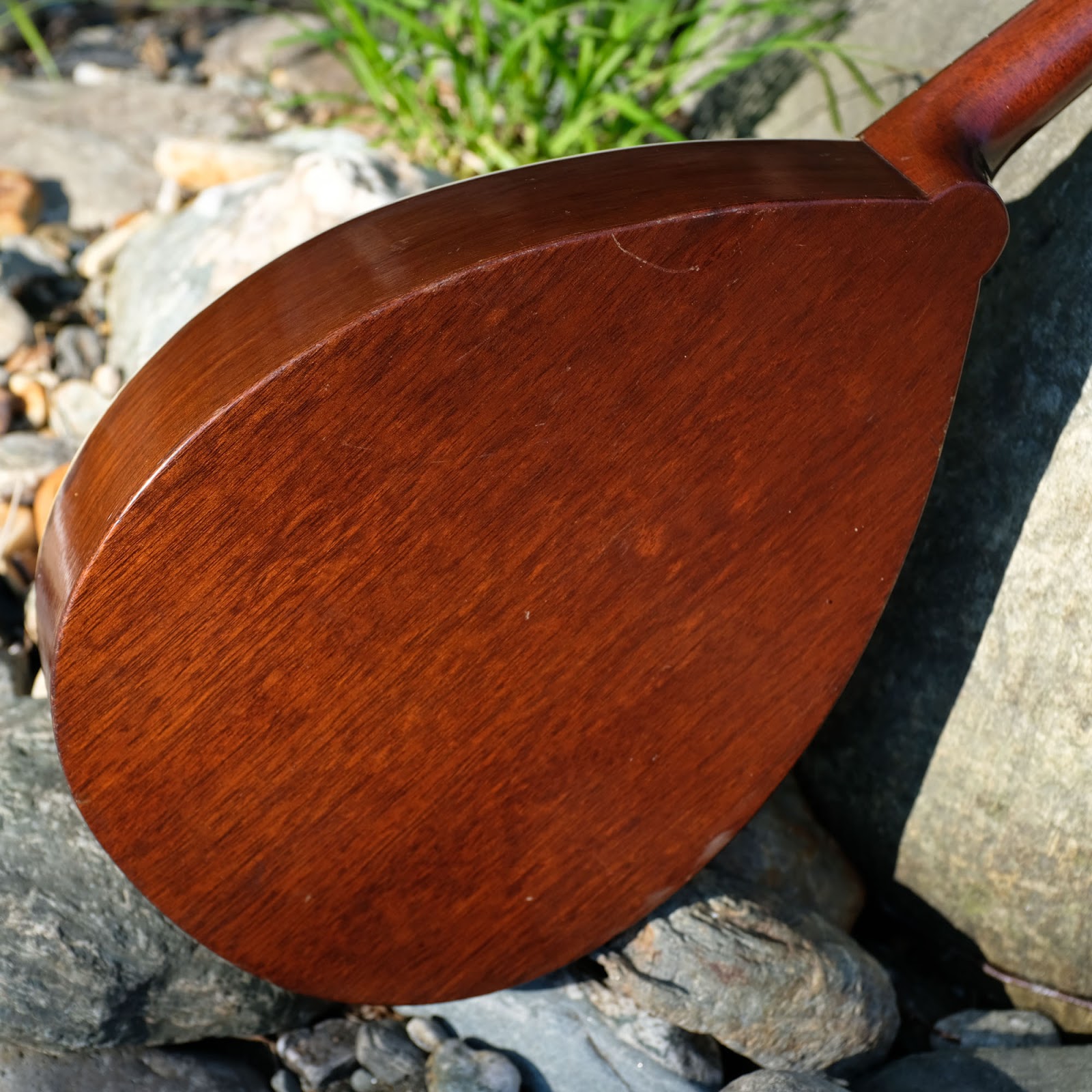 1920s Favilla Flatback Mandolin
