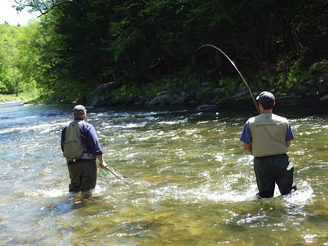 Vermont Fly Fishing: VERMONT BLACK RIVER TROPHY TROUT FISHING