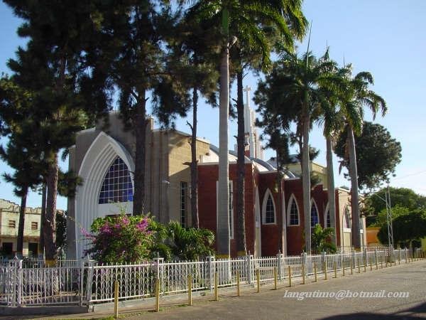 Jesus Camina Contigo