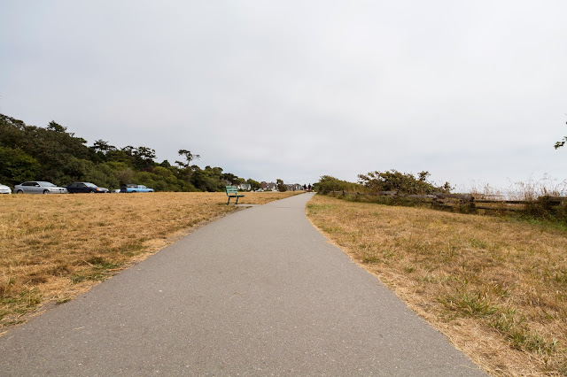Naturetastic Blog: Ogden Point Breakwater and Other Scenery - Victoria ...
