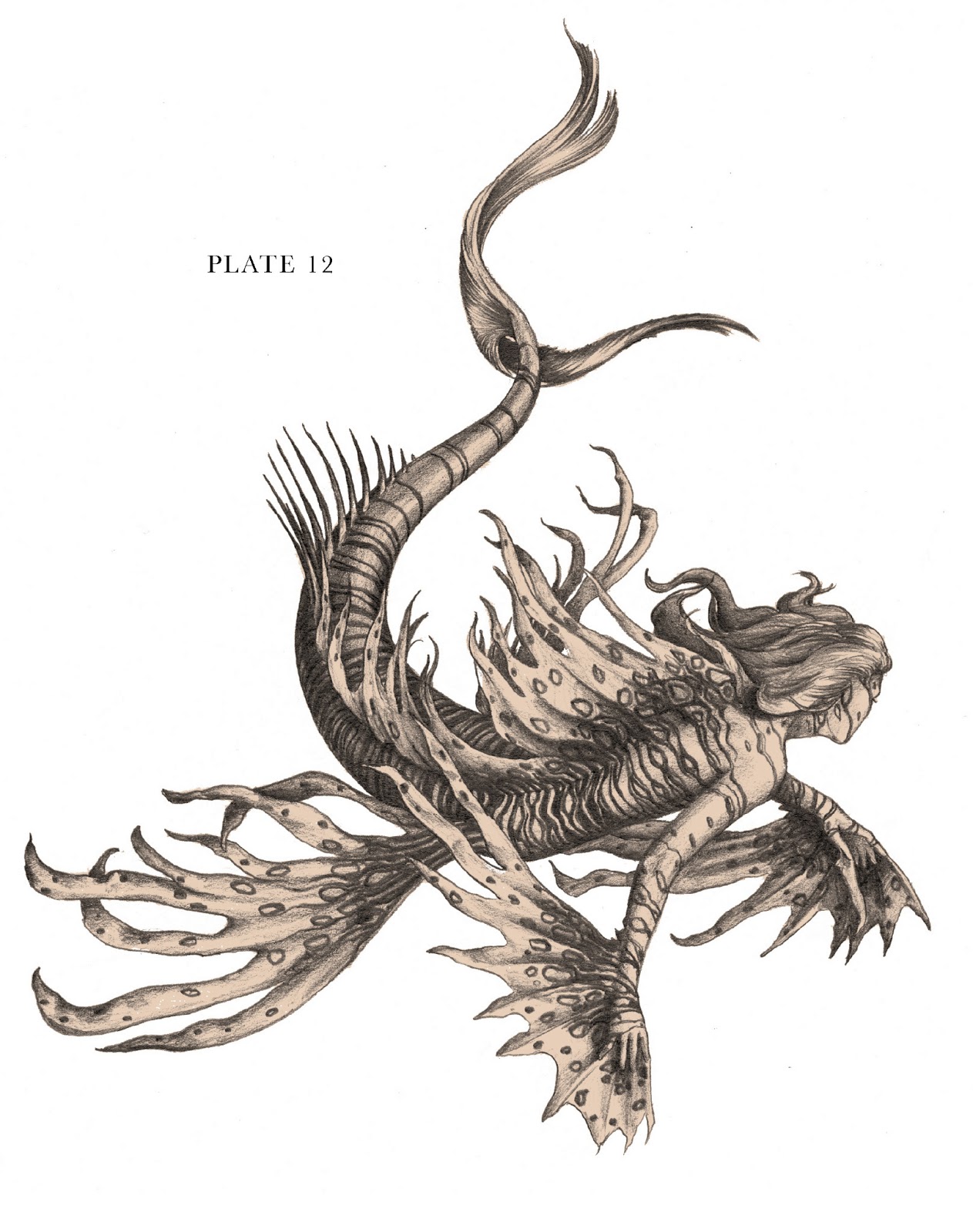 Brickbat Books: Event: Resurrectionist Book Launch at Indy Hall