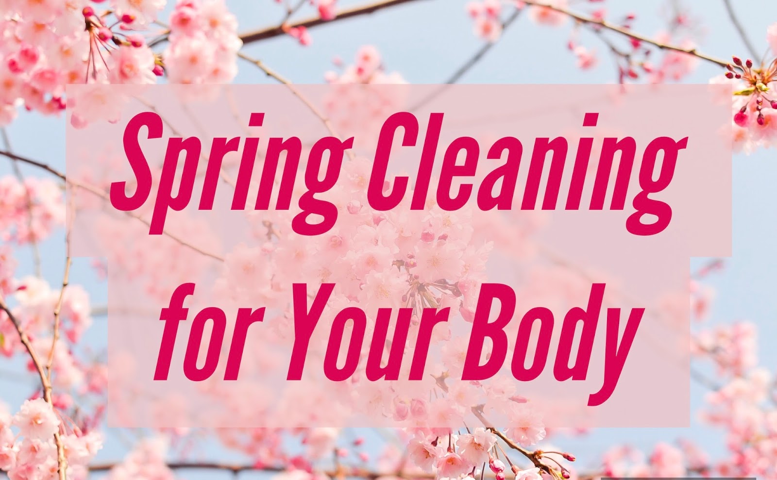 Spring Into a Healthier Life! - Spinach is GOOD for You!