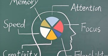 Situation Reaction Test Basics