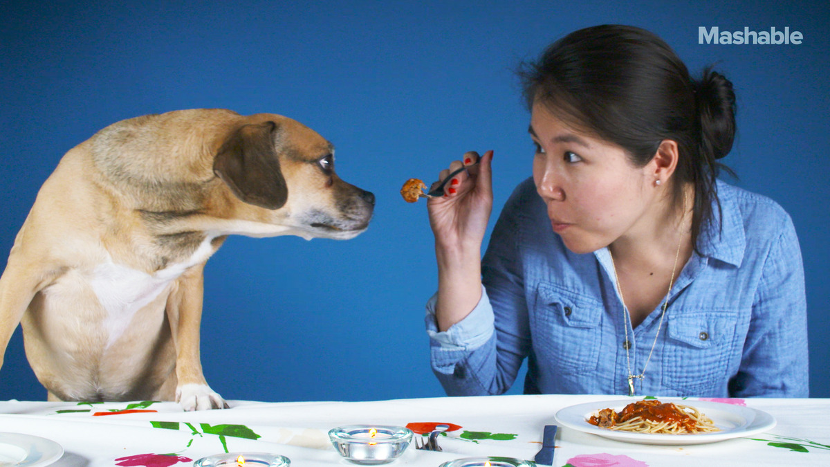 Dogs and their humans eating off the same plate is cuter than it sounds ...
