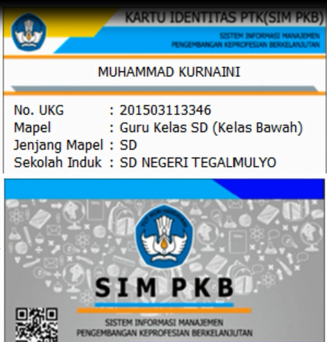 Aplikasi Kartu SIM PKB