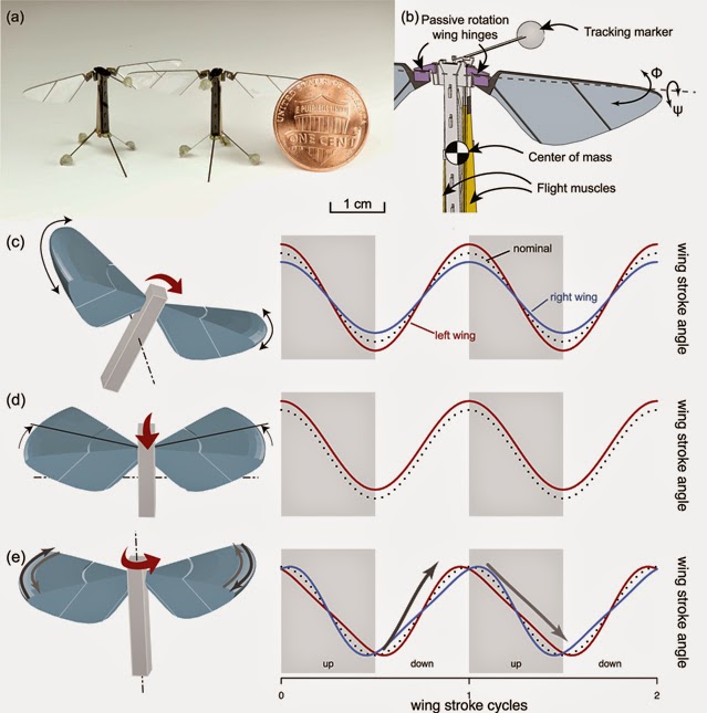 Suburban spaceman: Flocking Drones UAV: Nature inspires future ...