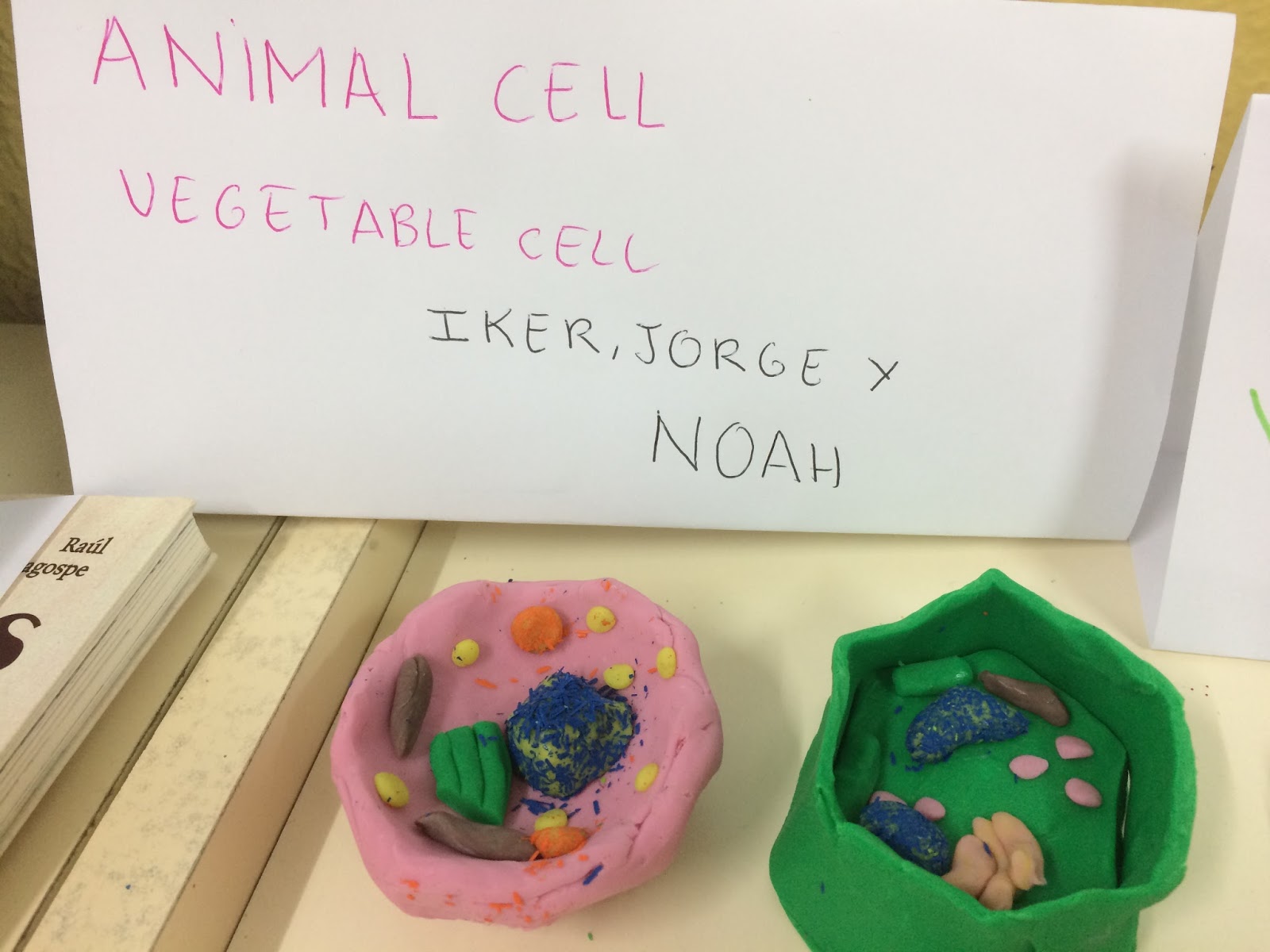 VFRESNOLAND: Science-Arts: Animal cell or plant cell?