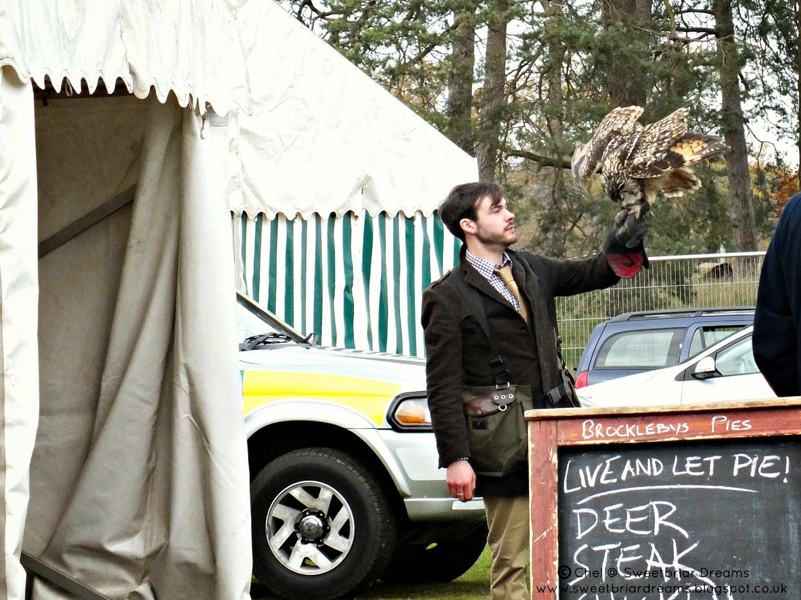 Sweetbriar Dreams: The Quirky and Crafty Christmas Shopping ...