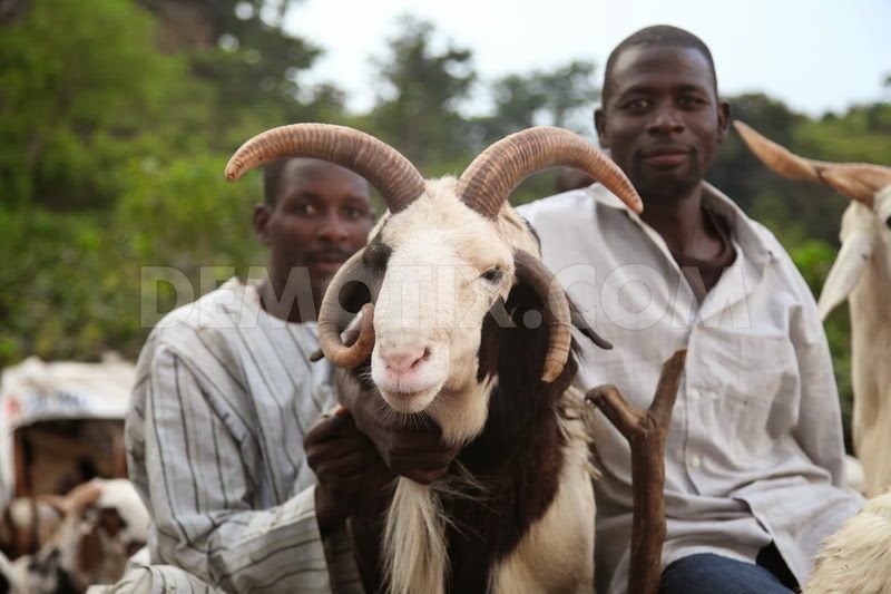 Van anderkant die ewenaar: Gemengde emosies