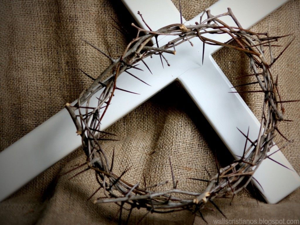 Lectura Divina: agosto 2014