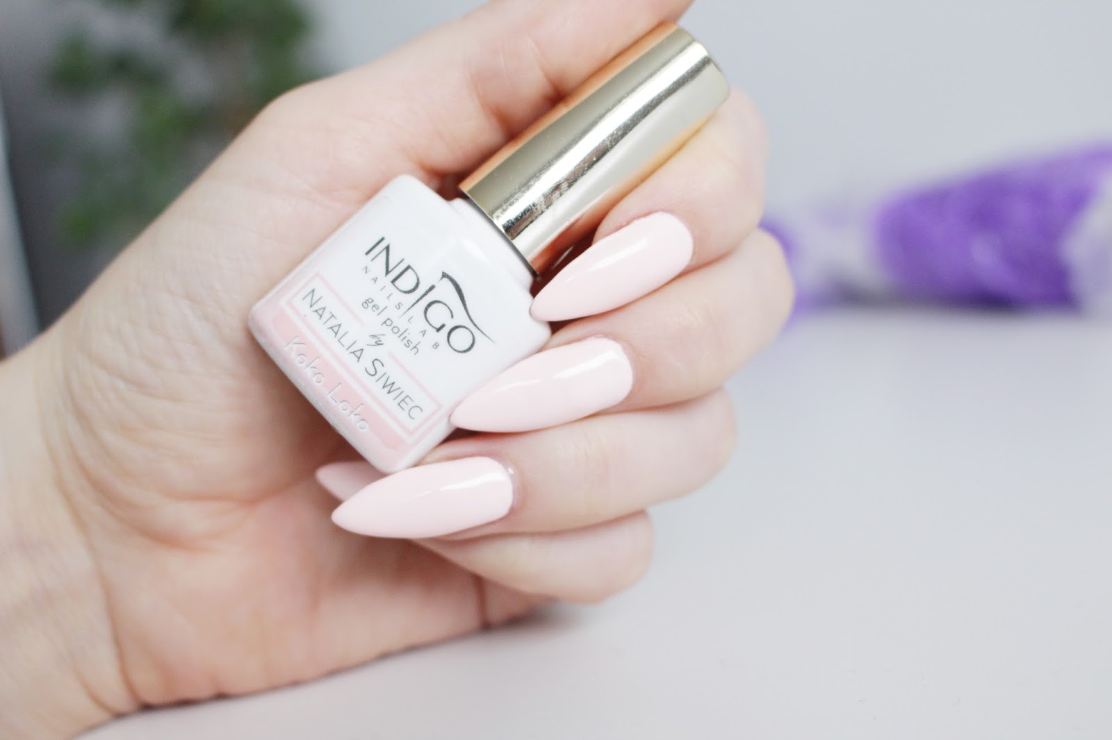 Top 5 hybryd na Lato 2017! Sprawdź czy masz wszystkie! | hola paola