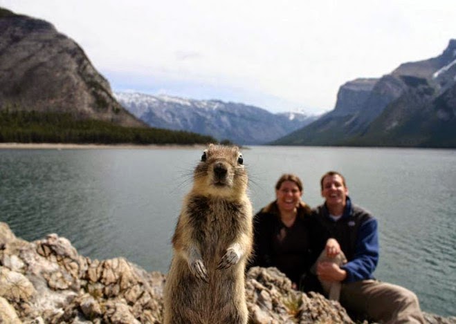 23 Perfectly Timed Photography Works All Around The World