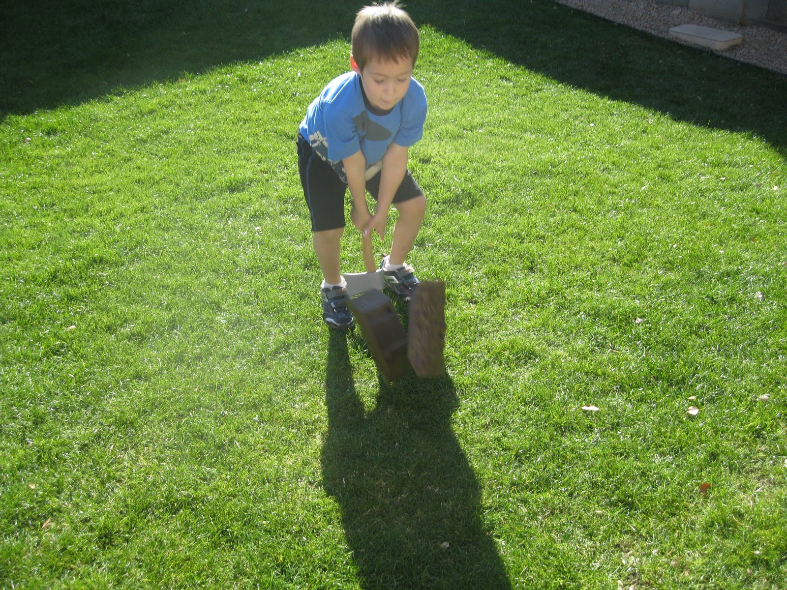 Jungle Discovery Preschool