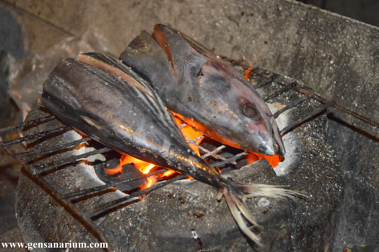 Side Trip: Cagbalete Island || GENSANarium