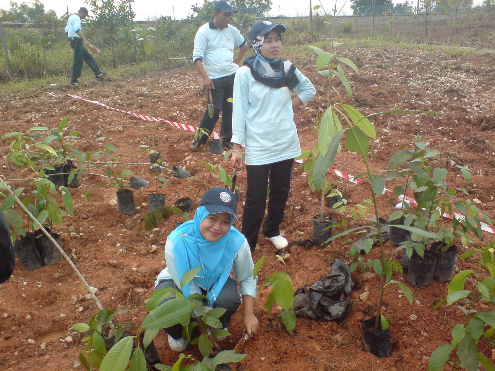 PERTANIAN LANJUTAN: INFO : PEMBAJAAN