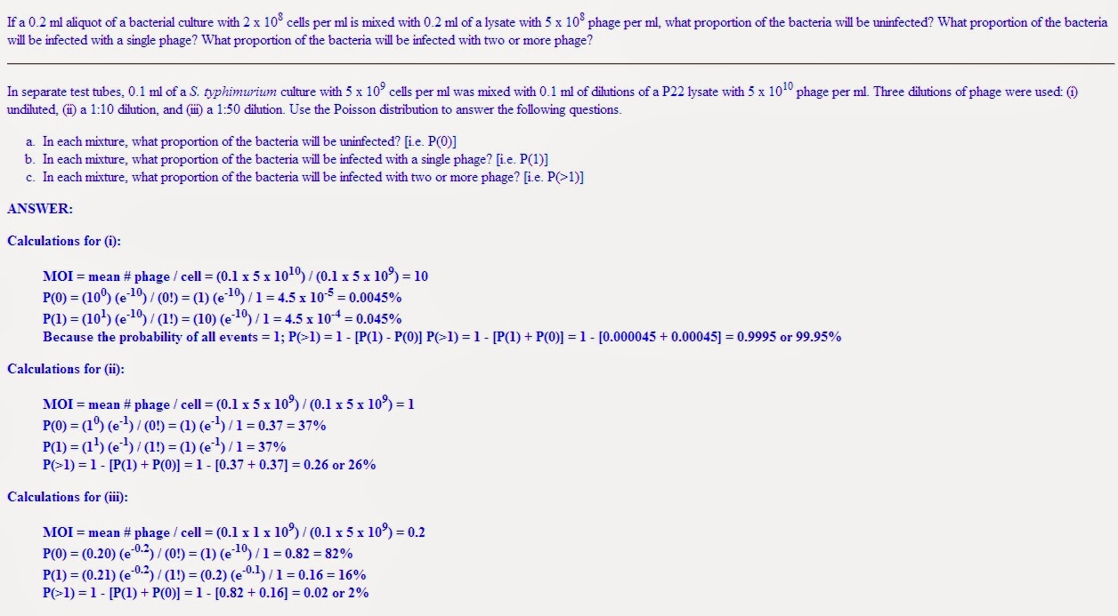 Phage therapy subjects from Sellano town : Multiplicity of Infection or MOI