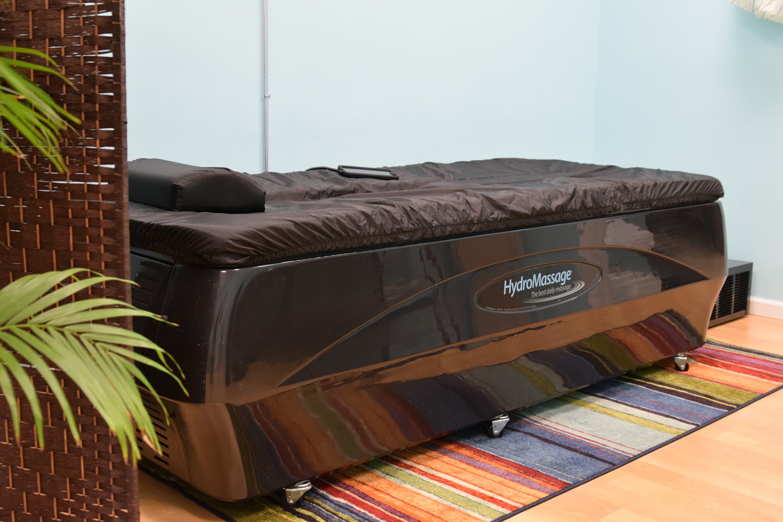 Eliminate Daily Toxins at Detox Day Spa | Metro Detroit Mommy