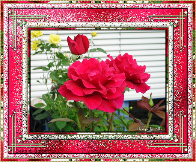 Renys Tutoriale: Clematis