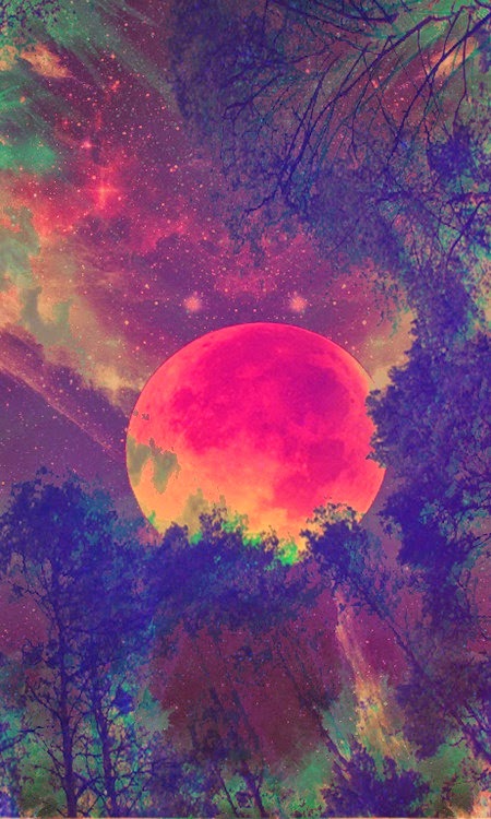 Amazing Moon | The Unique Photos