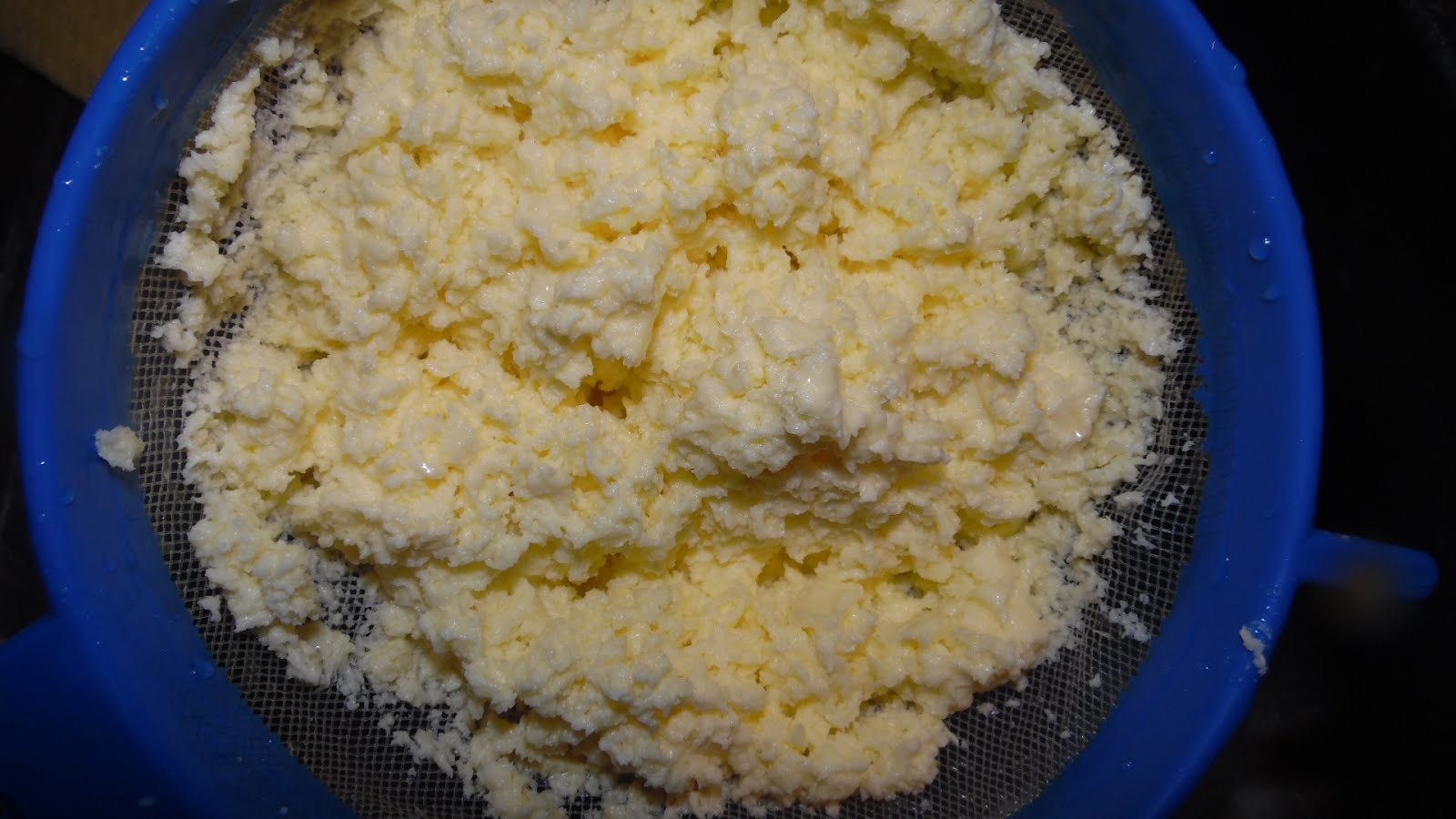 KEFIR SALUDABLE CHILE