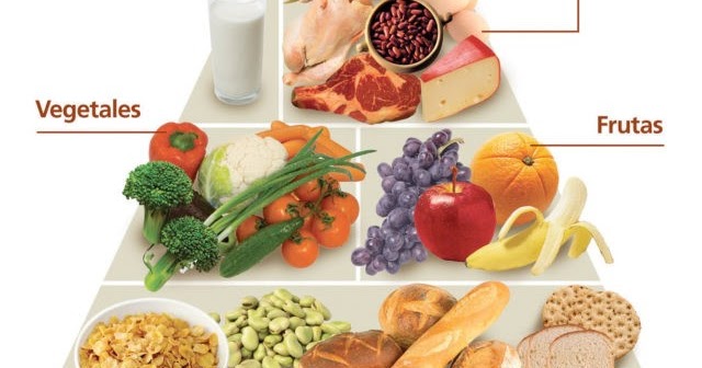 la nutricion: en que consiste la nutricion