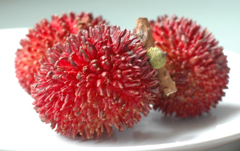 Rahasia Di Balik Manfaat Kulit Rambutan - Cara Merawat Kulit Wajah