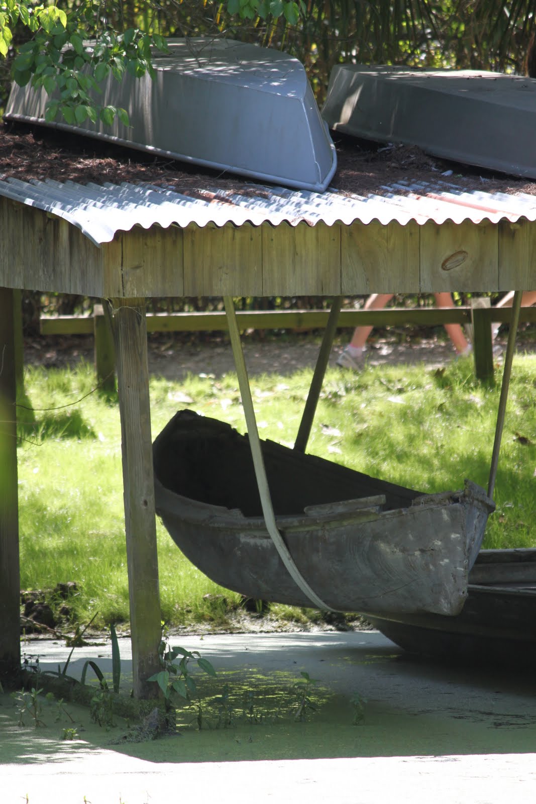 The Robertson Family: New Orleans Zoo