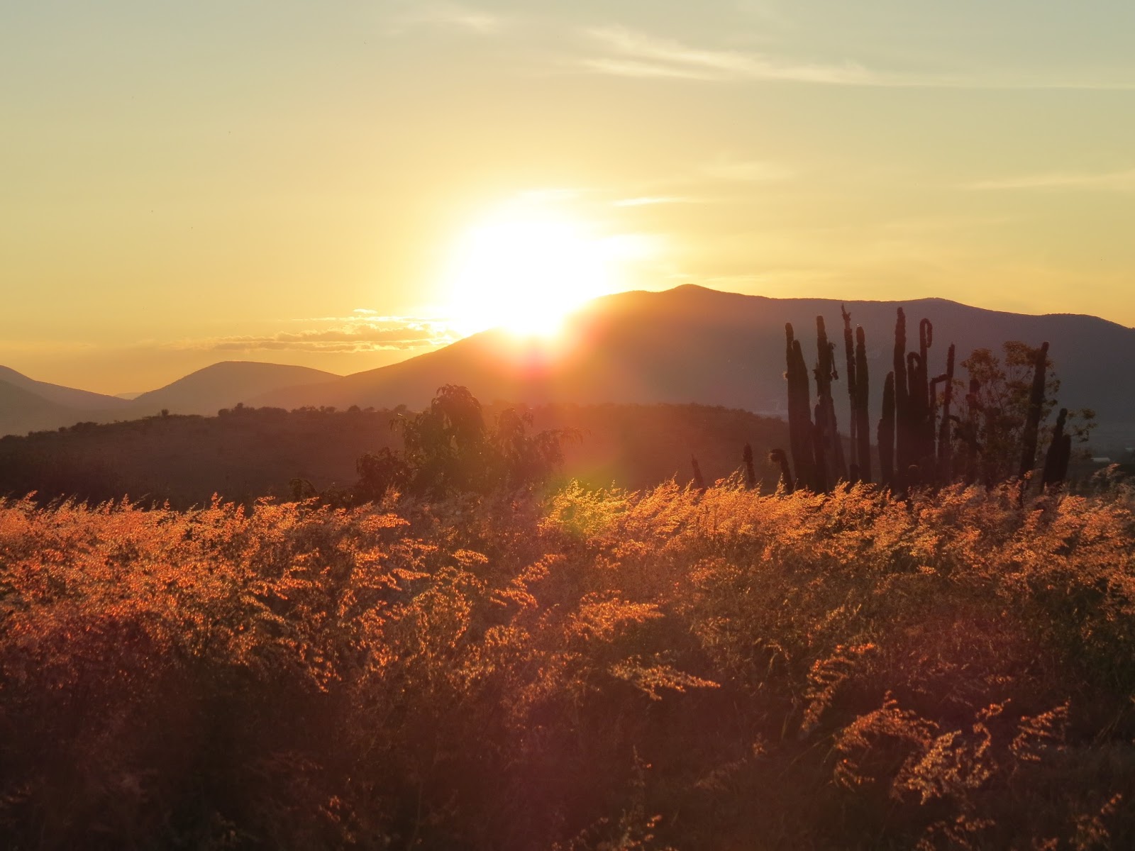 Sonrie: Tierra del Sol, Oaxaca, Mexico