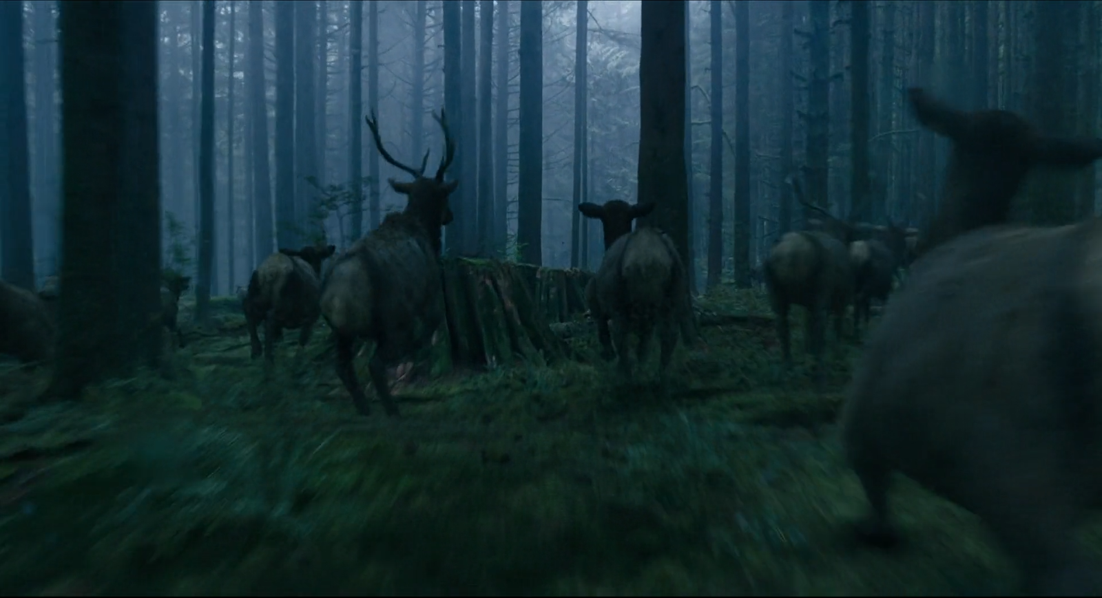 Oliver Bridle's Media Blog: Intro Analysis - Dawn of the Planet of the ...