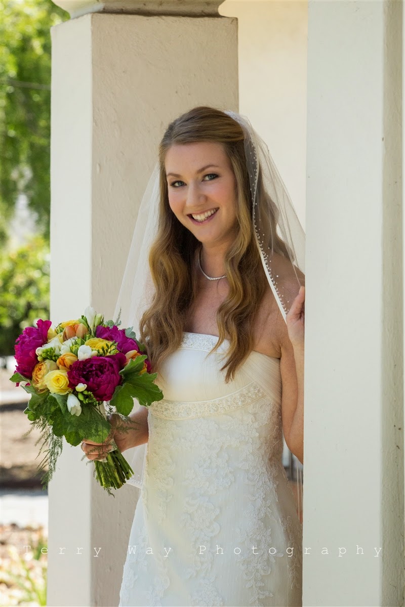 Terry Way Photography Santa Cruz Photographer: Bargetto Winery Wedding ...