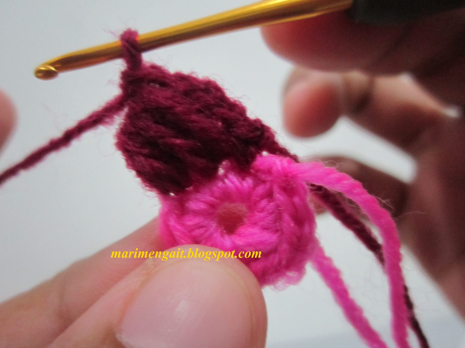 PROJEK 2 : MENGAIT BUNGA BERKELOPAK (PETAL PUFF) ~ Mari Belajar Mengait....