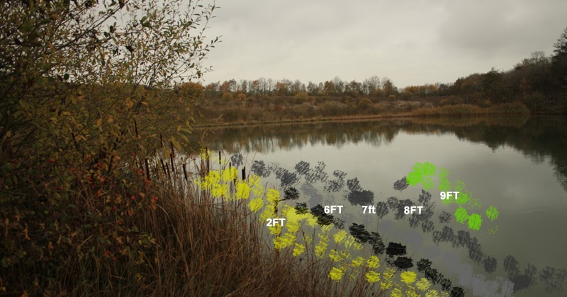 Charlton Carper: Burrows 'Autumn Colours'