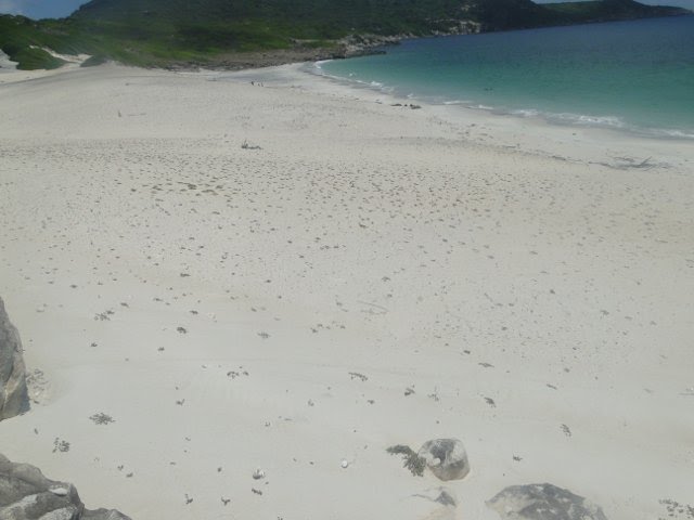 ARQUEOLOGIA PALEONTOLOGIA VENEZUELA: Labor conjunta en el Archipiélago ...