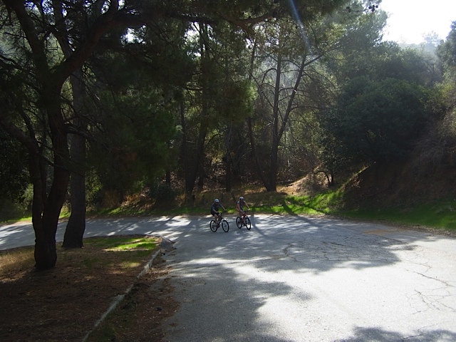 Silver Streak Cycling: Day Two Ride: Griffith Park Loop