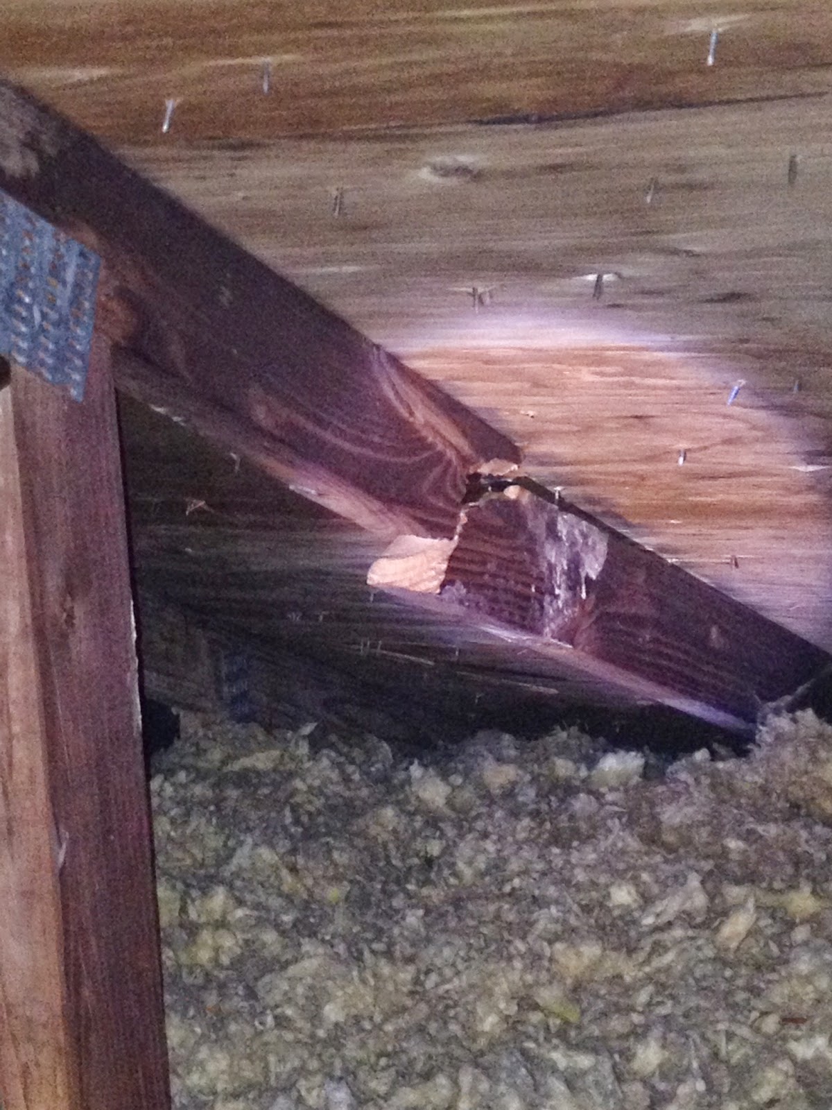 Mayo Property Inspections: Good Bones and Bad Framing