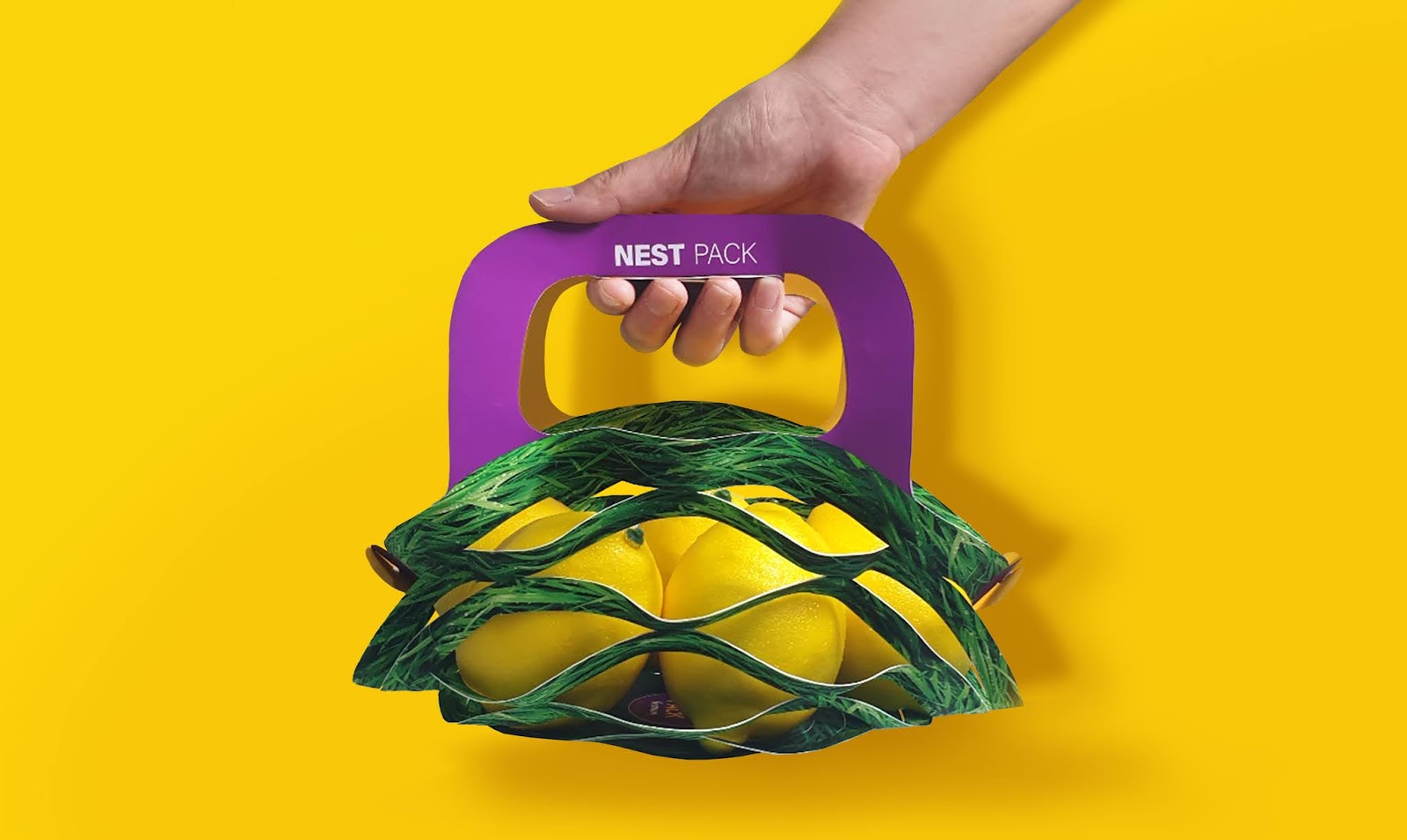 Nest pack – Packaging Of The World