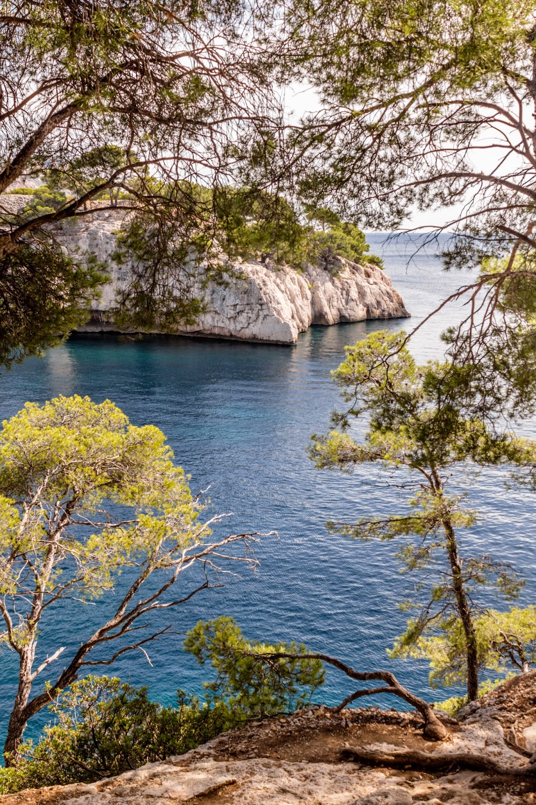 Lost in... somewhere in the calanques | The Flying Dutchwoman