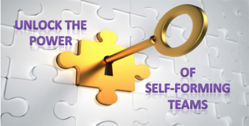 Agile Adoption Roadmap: Unlock the Power of Self-Forming Teams