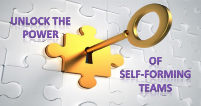 Agile Adoption Roadmap: Unlock the Power of Self-Forming Teams