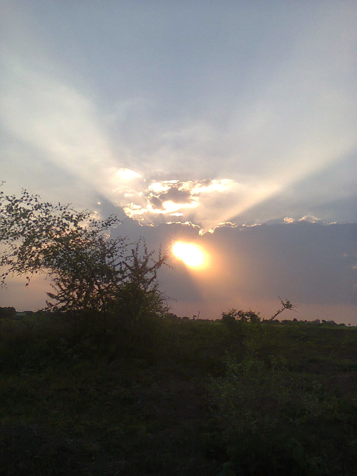 shekhpipariya is a vibrant village at lathi taluka distric amreli ingujarat