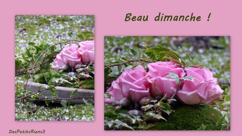 DesPetitsRiens3 : Très beau dimanche