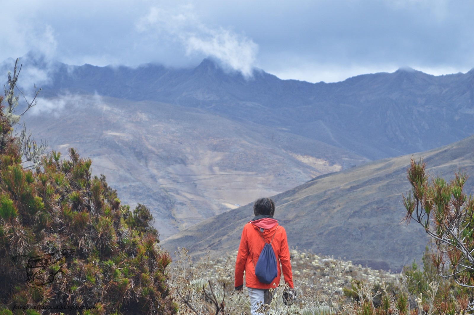FURGONETA AZUL: LOS PÁRAMOS, ANDES VENEZOLANOS.
