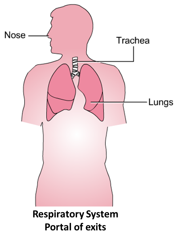 Bacterial Transmission ~ Zero-Infections